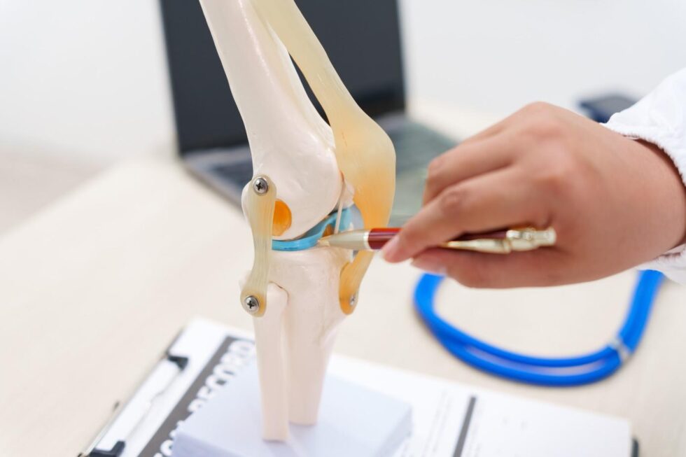 Comprendre et soulager le ligament croisé antérieur (LCA)
